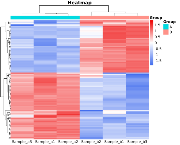 转录组聚类热图